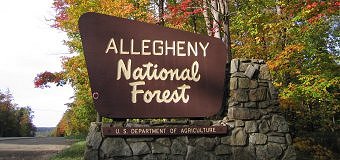 Allegheny National Forest | Trail Central | Kinzua | Camping | Pennsylvania